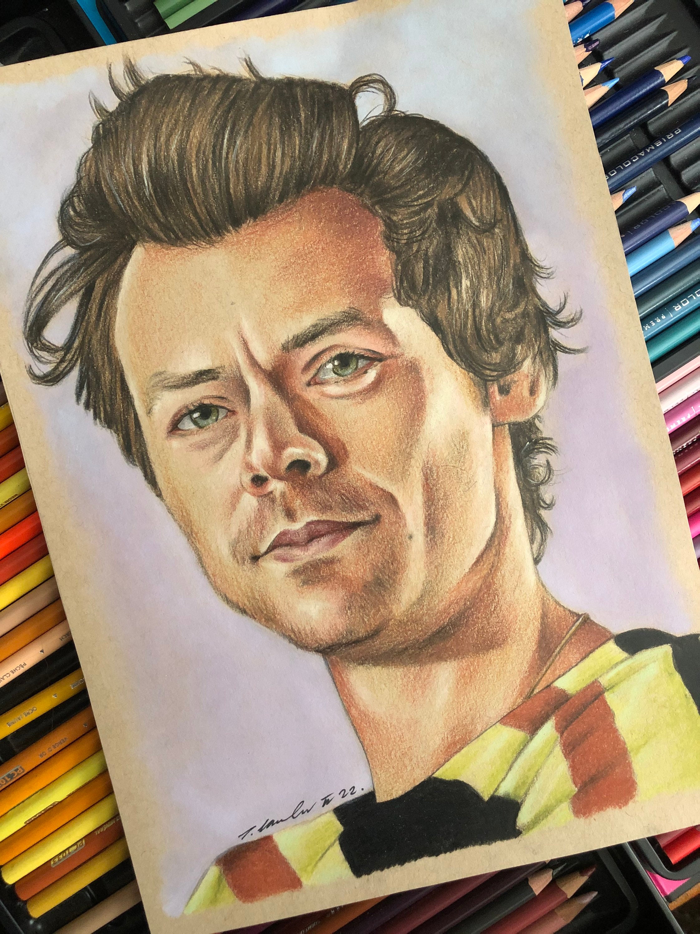 Harry Styles Original Pencil Drawing .fan-art A4. - Etsy Canada
