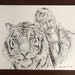 The Tiger King Original Pencil Drawing. A4 Fan-art. Joe Exotic - Etsy