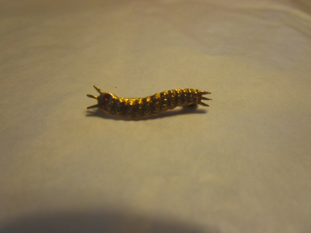Antique 10 K Yellow Gold Centipede Pin Pres by Irving - Etsy