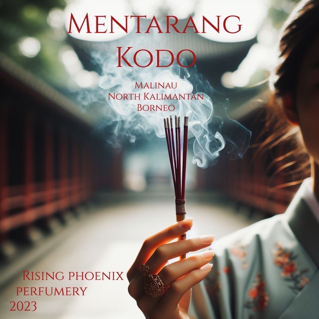 Mentarang Kodo 2023 : Malinau North Kalimantan Borneo Island Indonesian ...