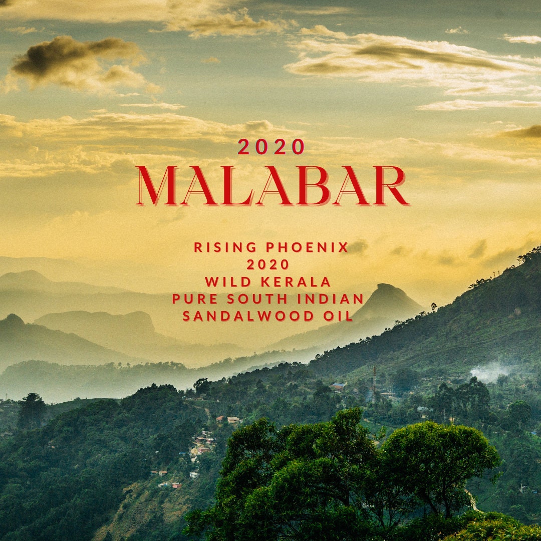2020 Malabar Sandalwood Oil : Pure South Indian Malabar Coastal ...