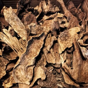 Sumbawa Chips - a RARE and Distinctive Gyrinops Agarwood - Gyrinops ...