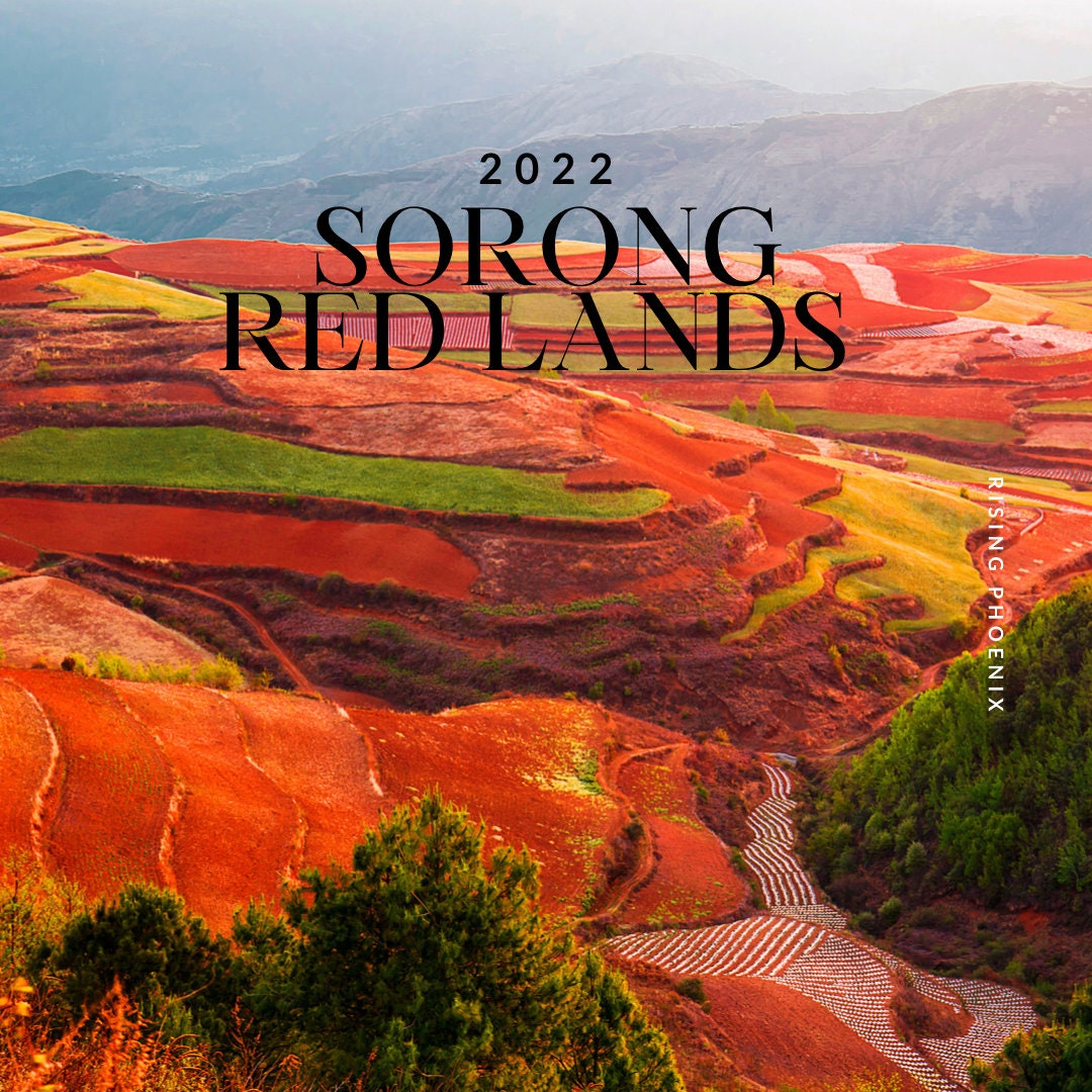 Sorong : Red Lands 2022 - West Papuan Live Tree Filaria Pure Oud Oil - Etsy