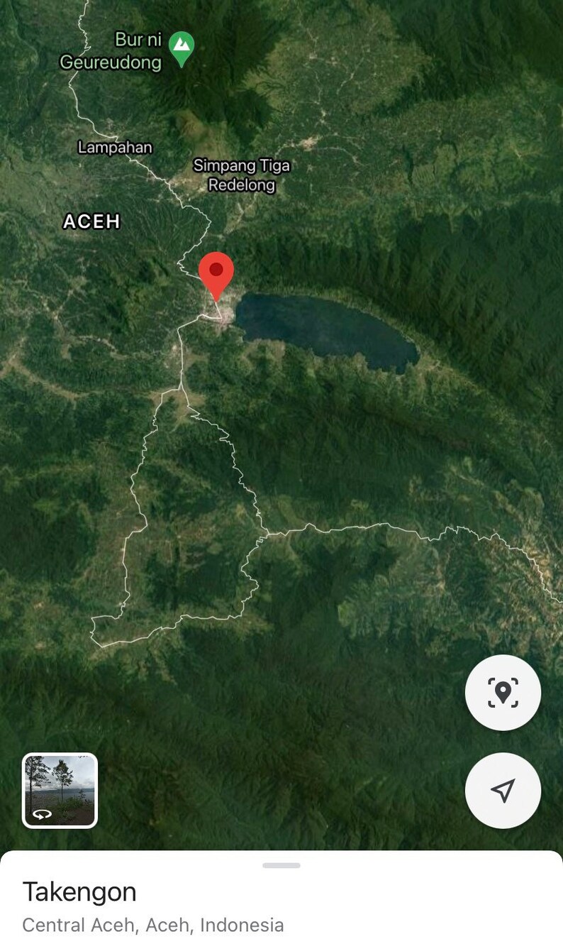 Takengon Agarwood Chips Central Aceh Province Sumatra - Etsy