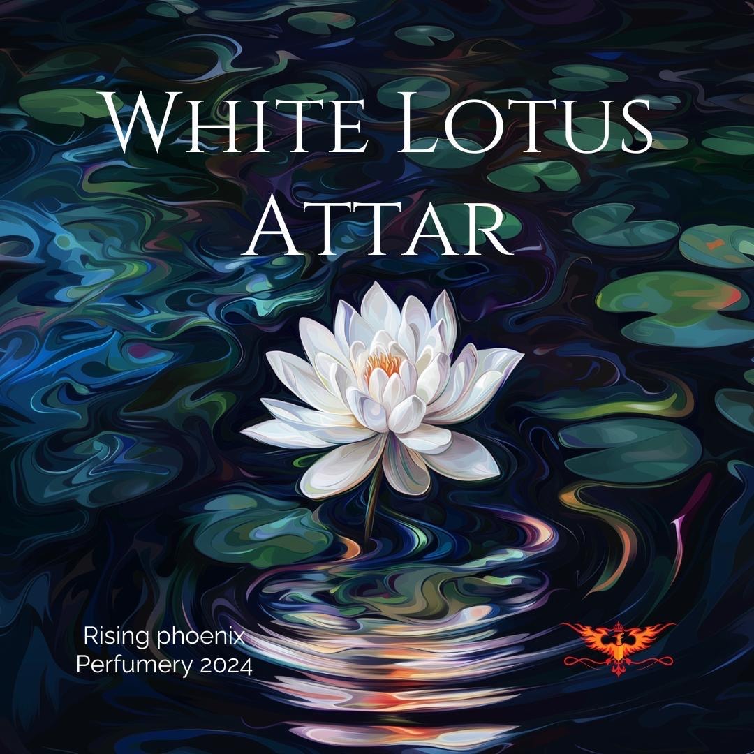 White Lotus Attar 2024 - RPP Lotus Series - Limited Quantity Available ...