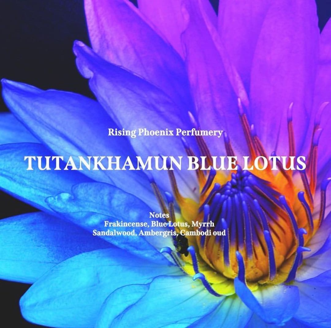 Tutankhamun 4.0 Blue Lotus Attar 2023 **NEW BATCH - Etsy