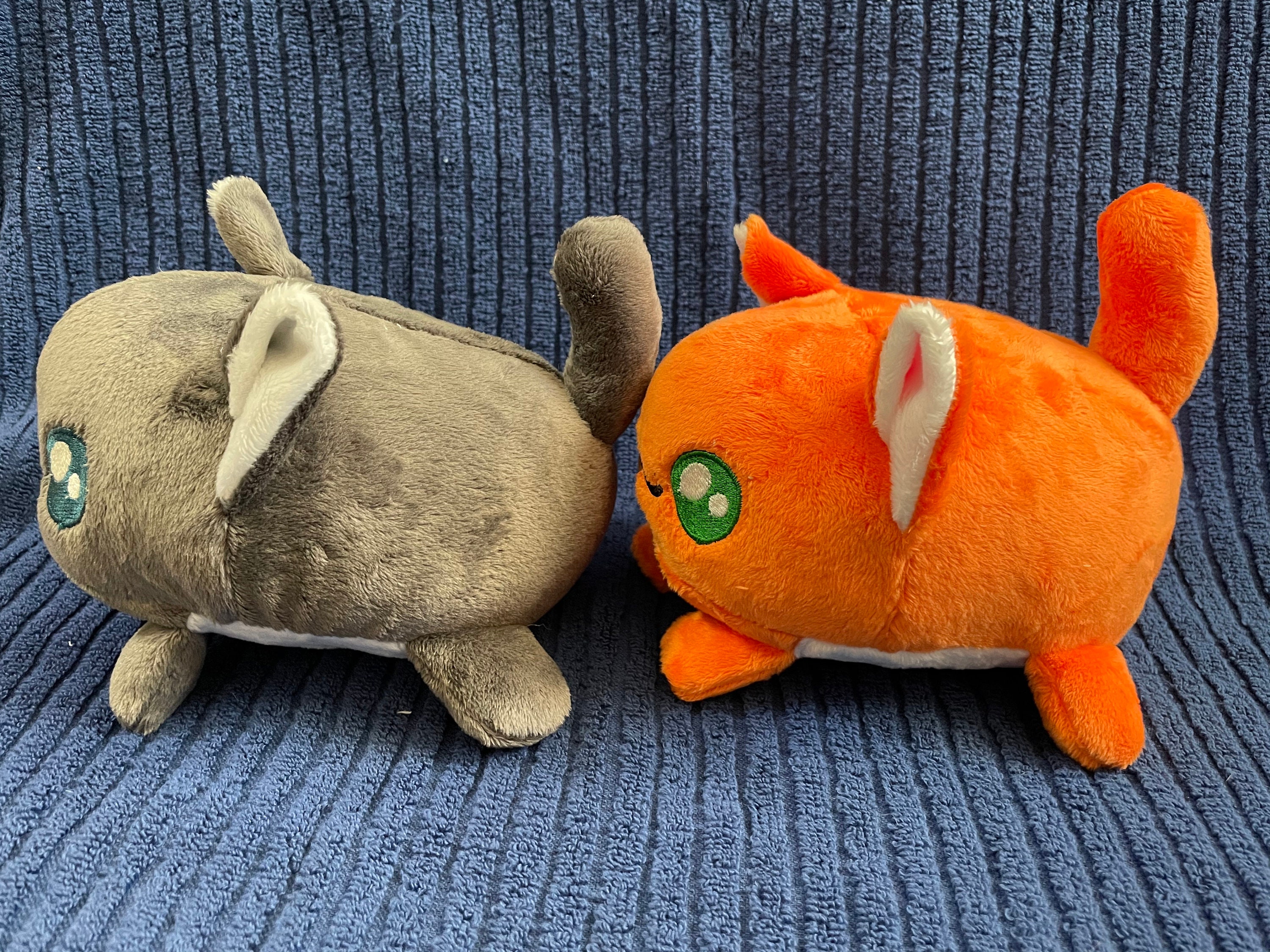 Cat Loaf Plushie / Plush Toy / Kitten / Kitty Roll Stuffed | Etsy