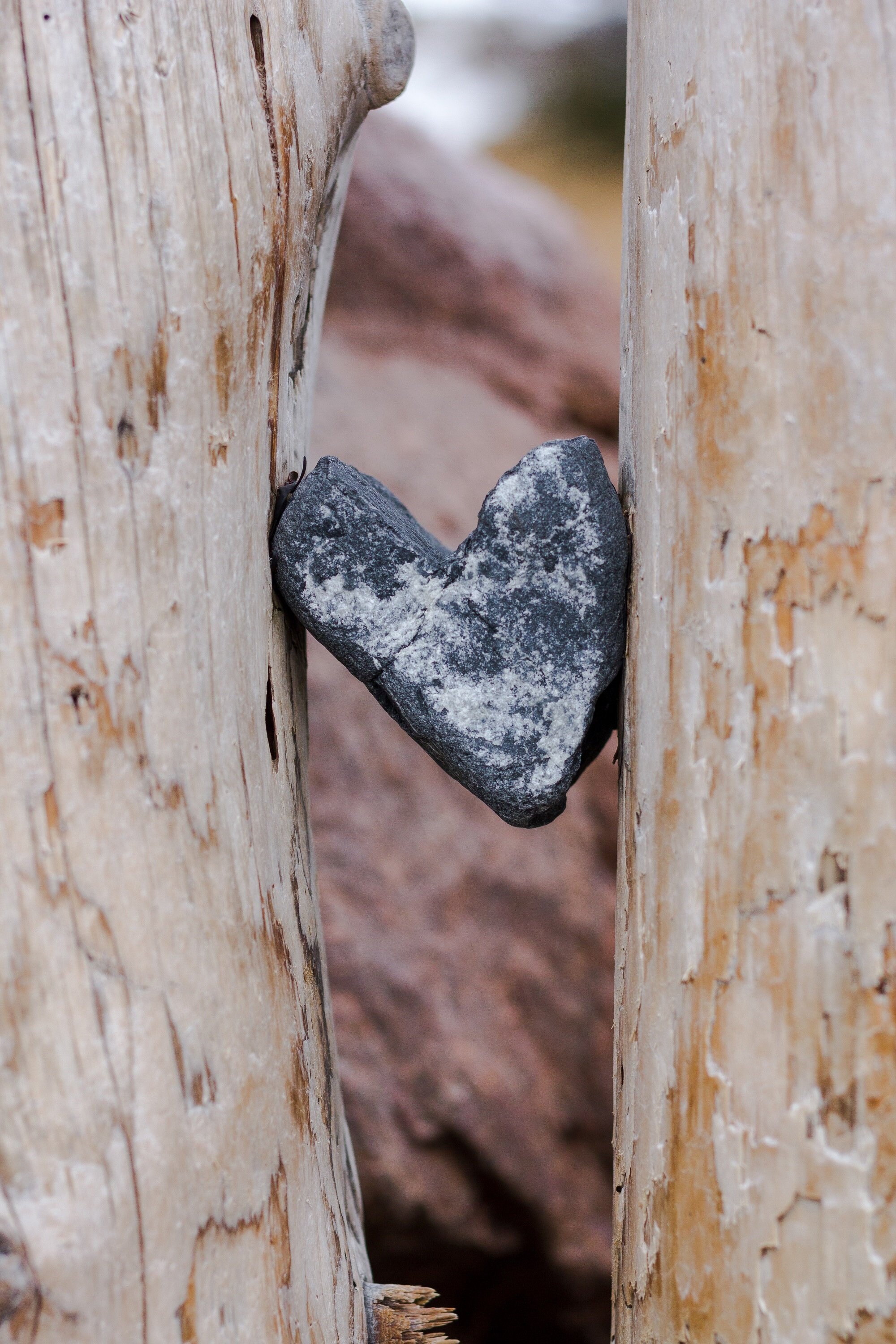 Heart Shaped Rock Heart Rock Beach Art Wall Art Print - Etsy