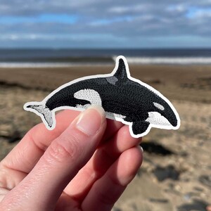 Orca Sticker, Killer Whale Decal, Nautical Waterproof Vinyl, Fish ...