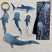 Whale Shark Bundle, Leather Bookmark & Keyring, Stickers and Paper ...