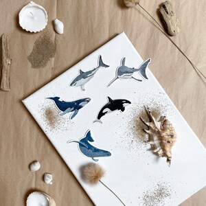 Orca Sticker, Killer Whale Decal, Nautical Waterproof Vinyl, Fish ...