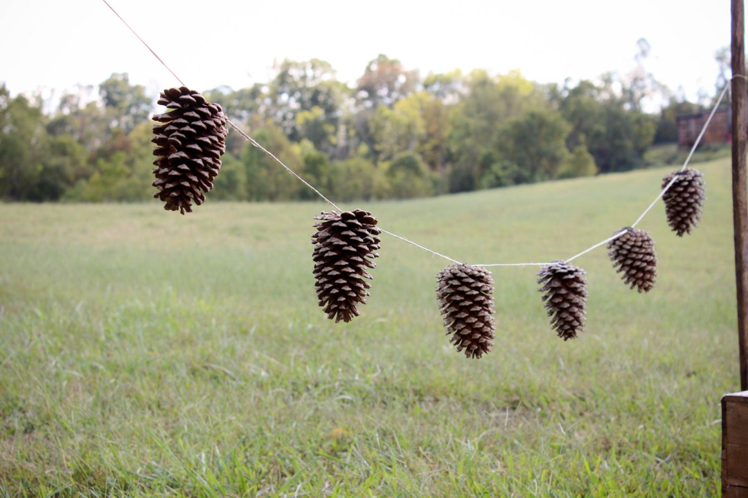 Pine Cone Garland, Banner, Photography Prop, Rustic, Country, Craft - Etsy