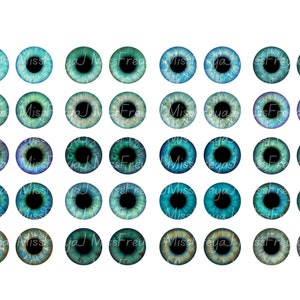 Printable Eyechip Designs - 14mm Realistic Eyes for Neo Blythe Doll ...