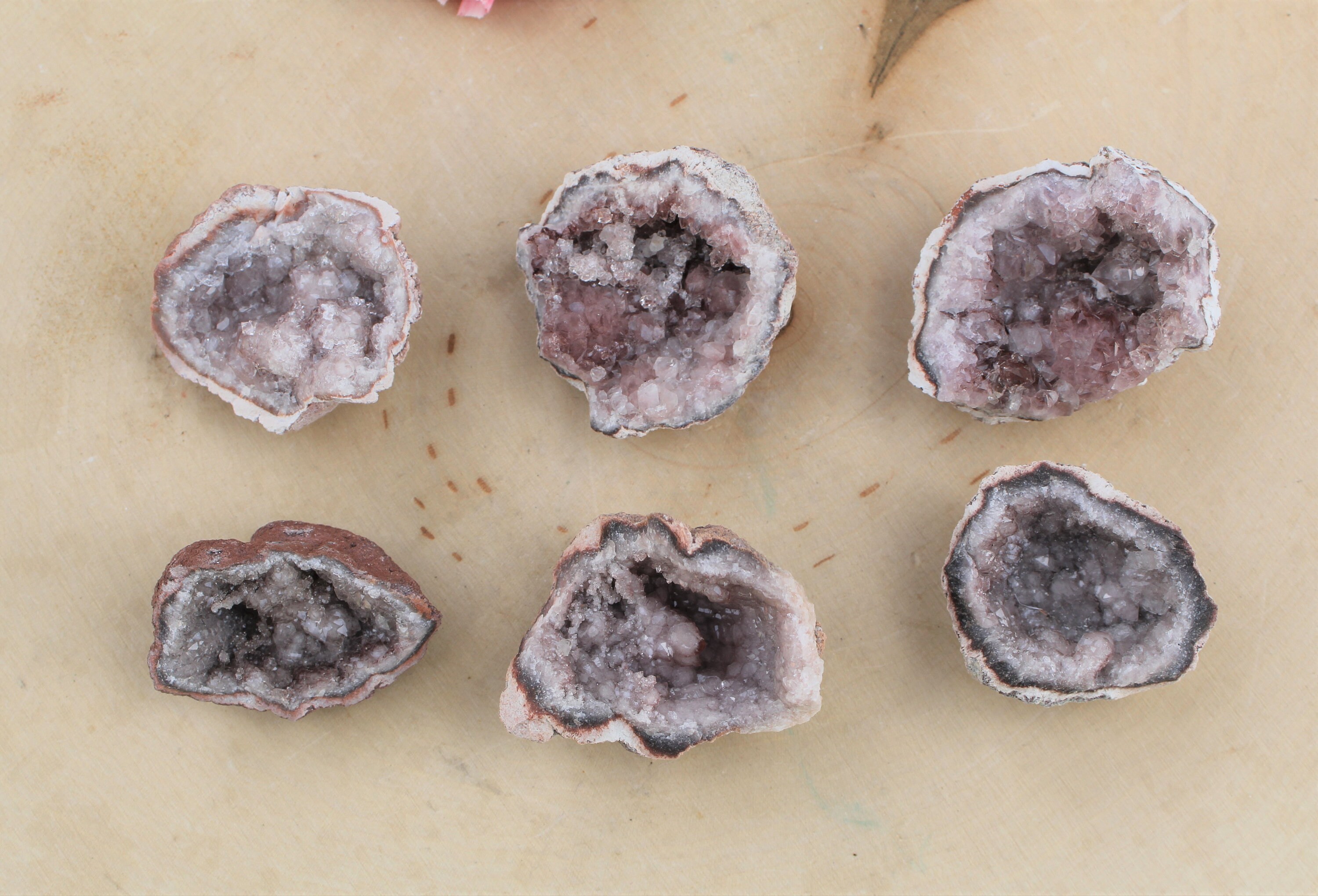 Pink Amethyst Geodes Geode crystal cluster rare geodes | Etsy
