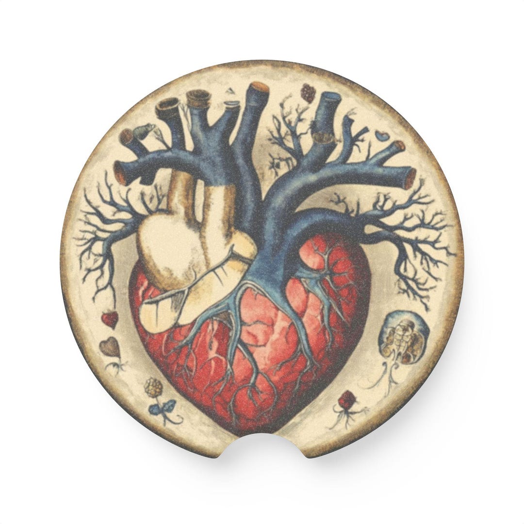 Heart Soapstone Car Coaster, Anatomy Coaster, Heart Coaster - Etsy