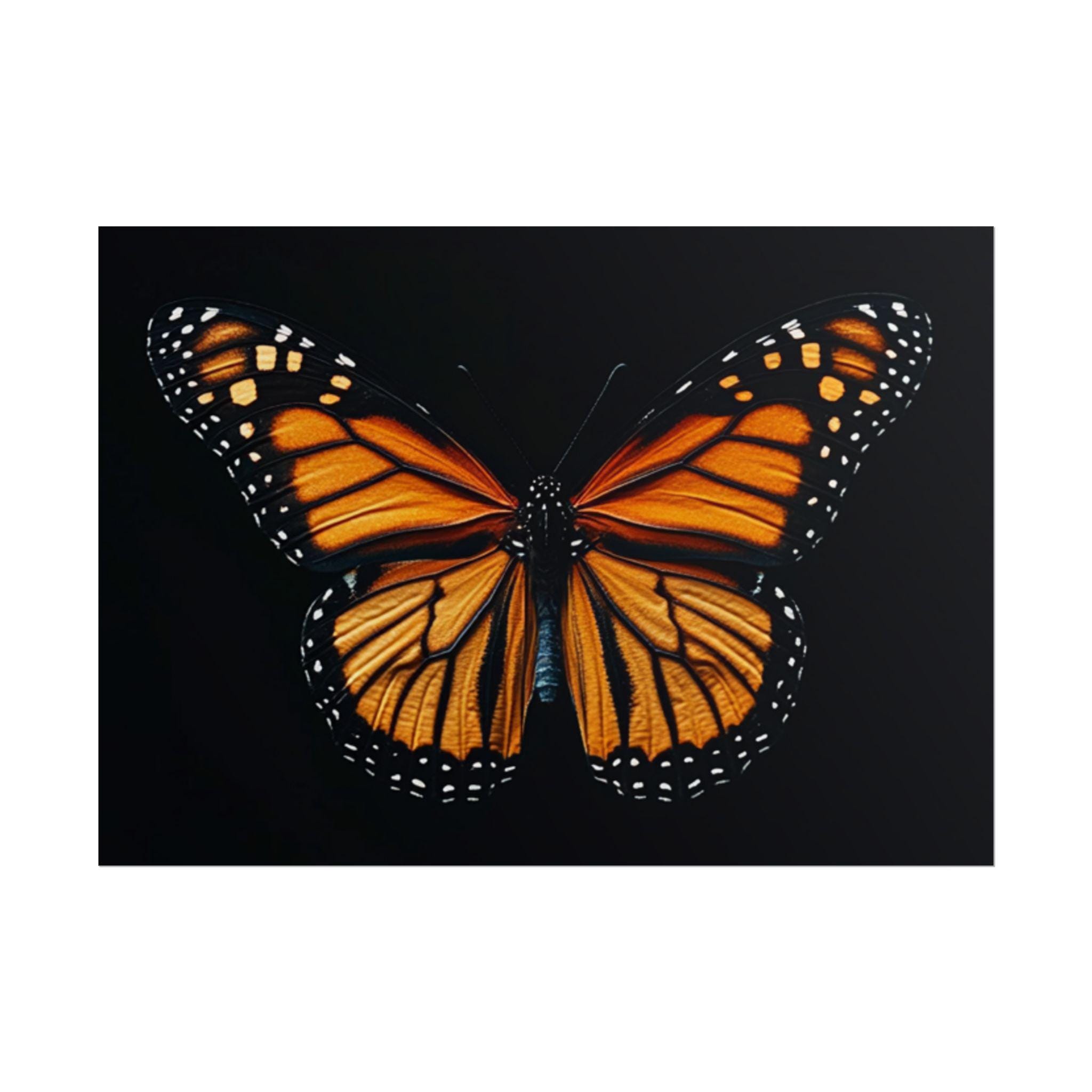 Monarch Butterfly Poster Rolled Posters Wall Posters Home Decor Print ...