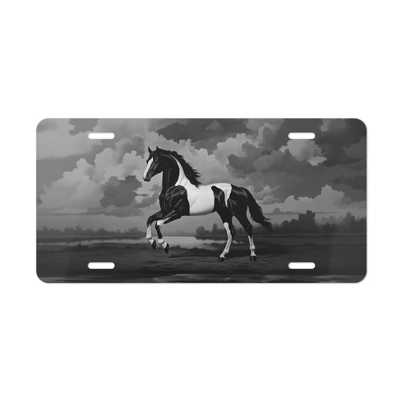 ON SALE, Black Horse White Vanity Plate, Front of Car, Car Decoration ...