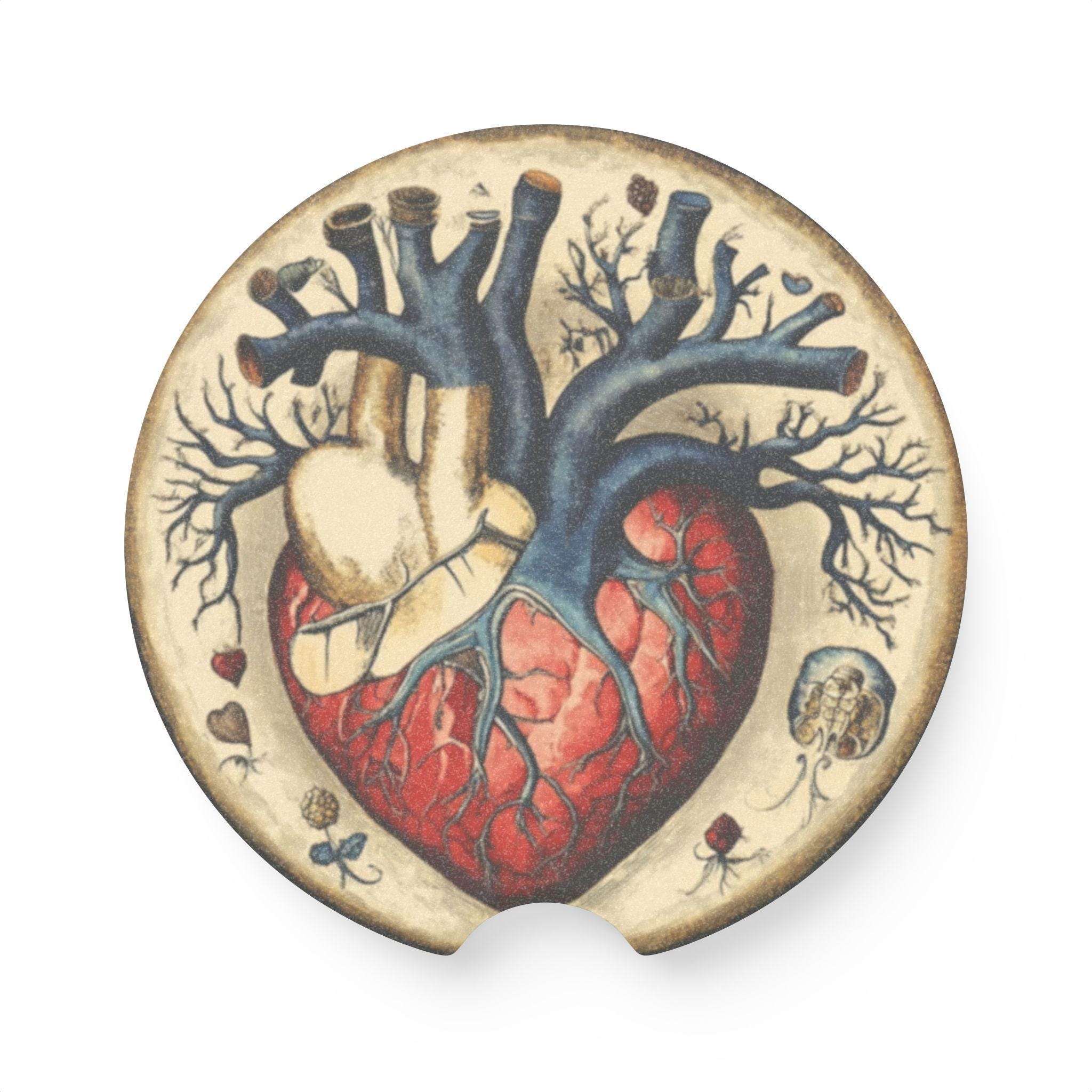 Heart Soapstone Car Coaster Anatomy Coaster Heart Coaster Car Decor ...