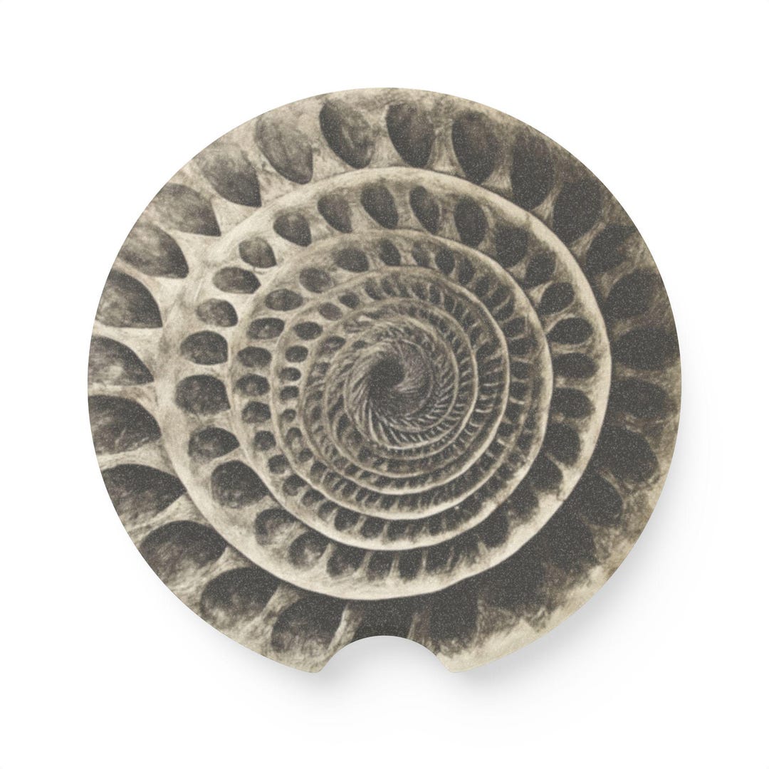 Shell Soapstone Car Coaster, Shell Coaster, Black and White Coaster - Etsy