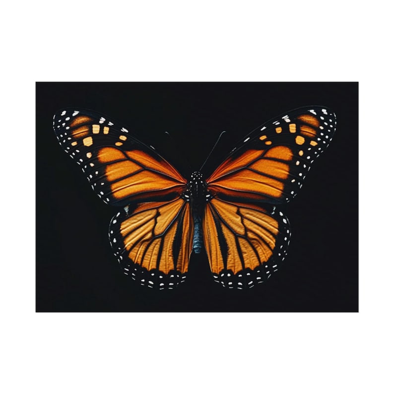 Monarch Butterfly Poster Rolled Posters - Etsy