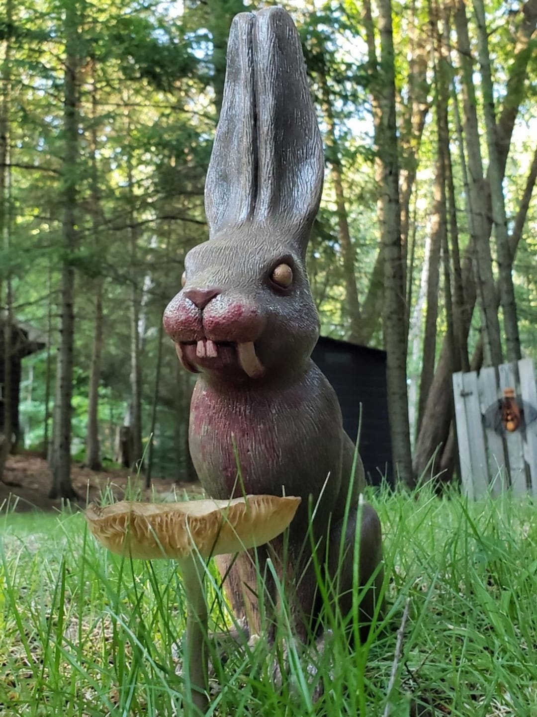 Saber Teeth Rabbit (chocolate) - Etsy