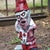 Ribor Mortis Zombie Gnome - Etsy