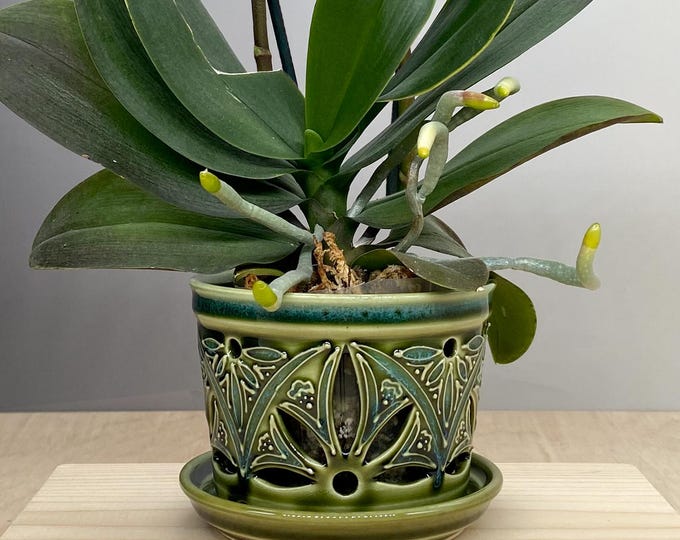 Small Orchid Pot - Floral Design - Slip Trailed Pottery - Ceramic ...