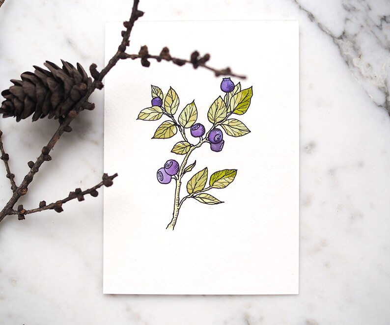 Hand-drawn Original Illustrated Card Blueberries / Drawing - Etsy