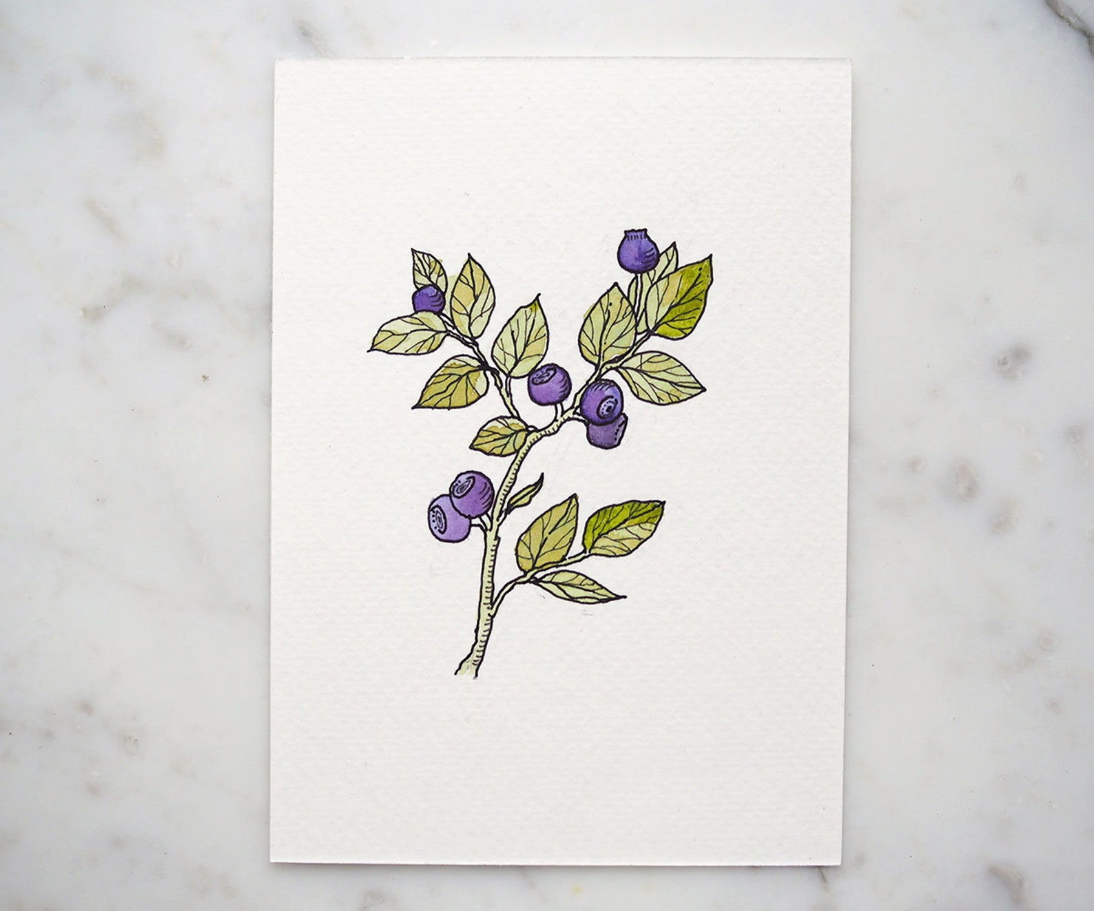 Hand-drawn Original Illustrated Card Blueberries / Drawing - Etsy