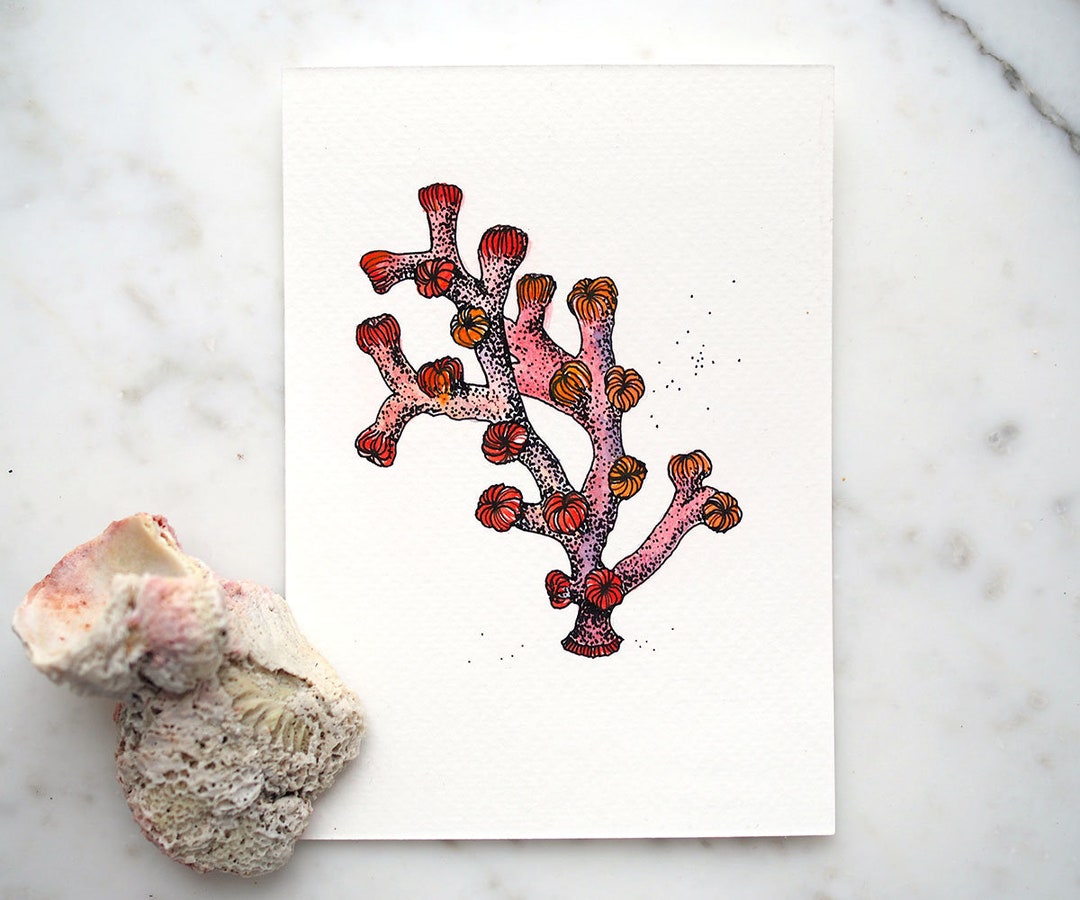 Hand-drawn Original Illustrated Card Red Coral / Drawing by - Etsy