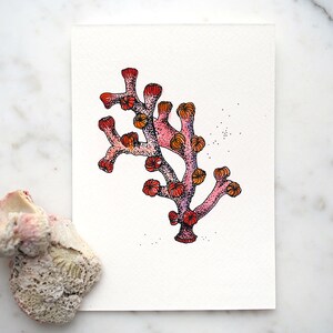 Hand-drawn Original Illustrated Card Red Coral / Drawing by - Etsy