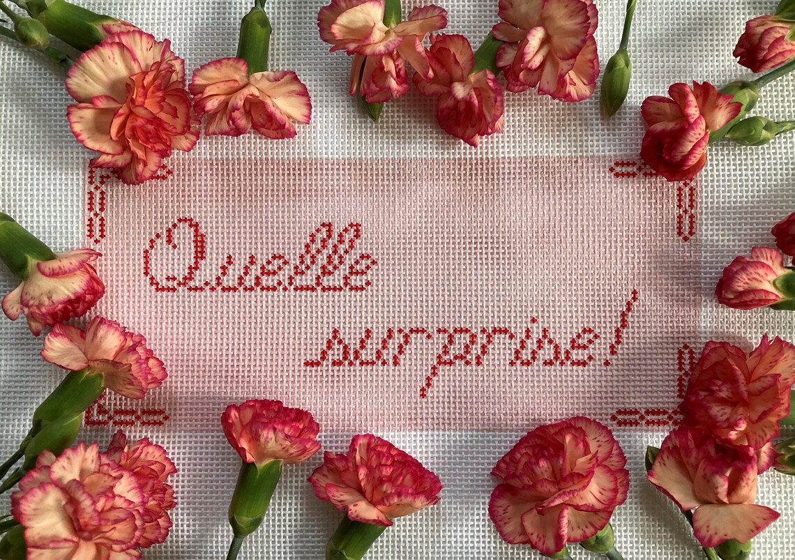 Quelle Surprise French Handpainted Needlepoint Canvas | Etsy