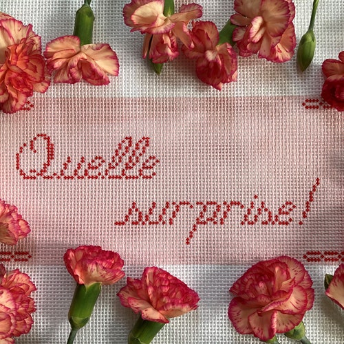 Quelle Surprise French Handpainted Needlepoint Canvas - Etsy