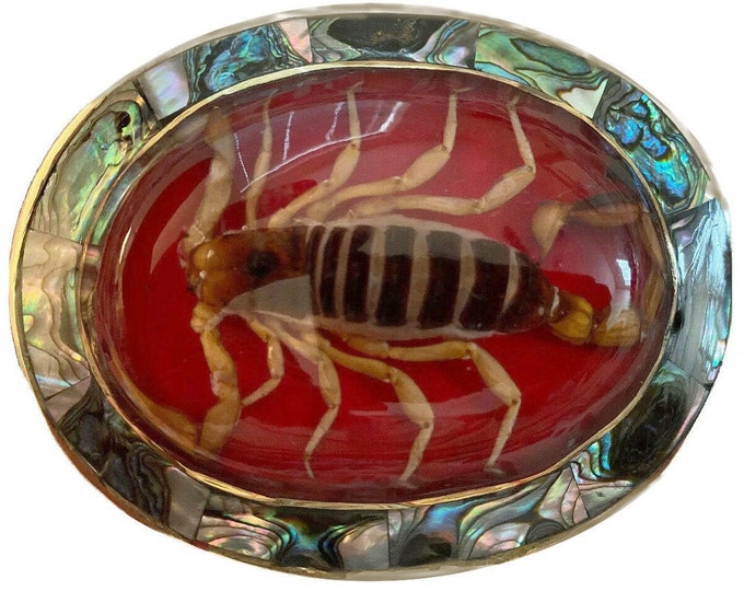 Vintage Abalone Shell and REAL Scorpion Belt Buckle Arachnid Red Inlay ...