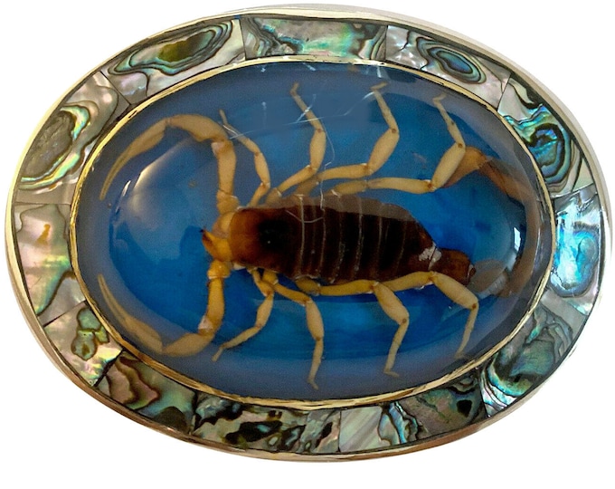 Vintage Abalone Shell and REAL Scorpion Belt Buckle Arachnid Inlay ...