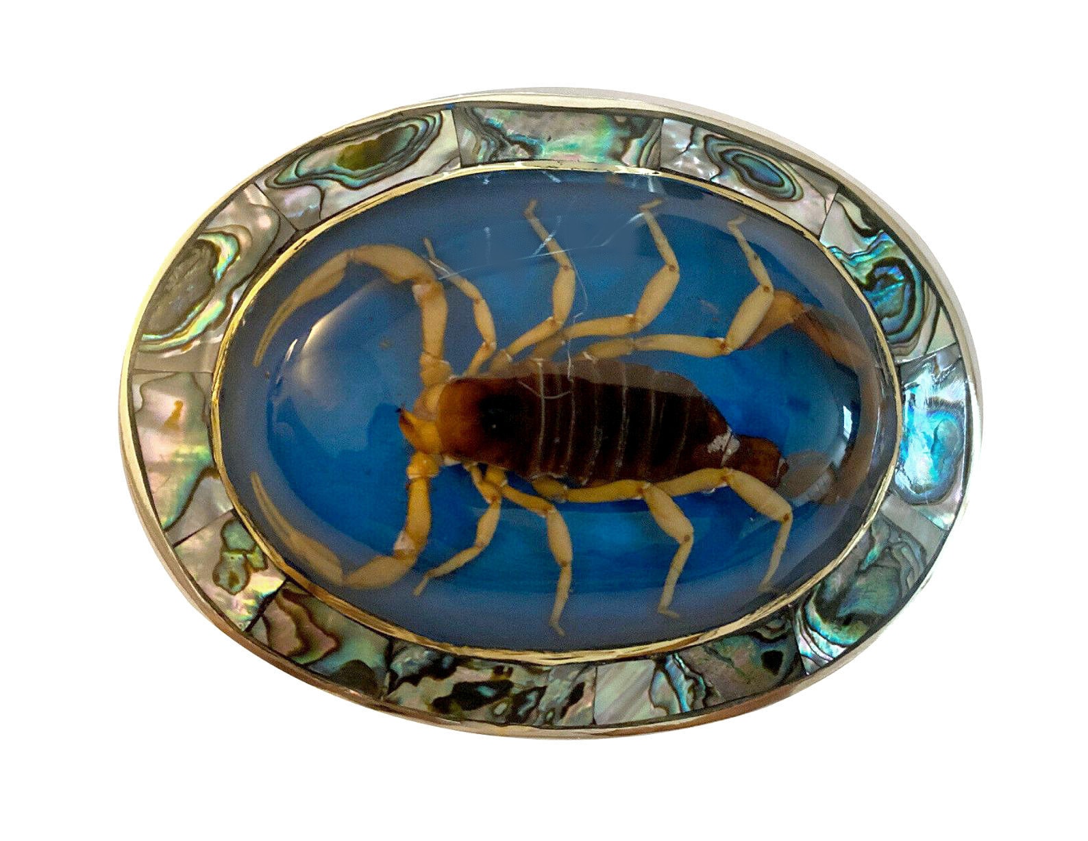 Vintage Abalone Shell and REAL Scorpion Belt Buckle Arachnid | Etsy
