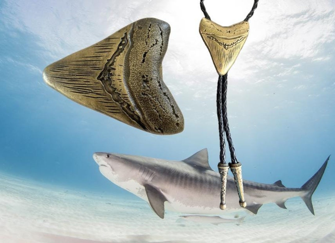 Sharks Tooth Belt Buckle and Bolo Tie Set - Jurassic World Brass Fish ...