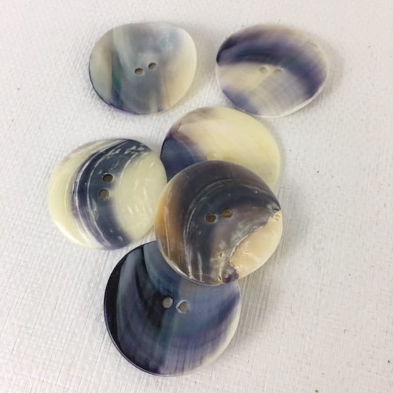 CLAM SHELL BUTTONS D11 - Etsy
