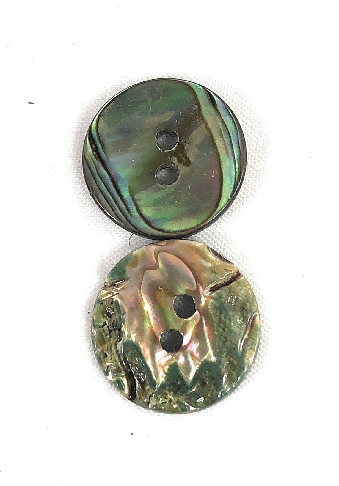 ABALONE SHELL BUTTONS. D11 - Etsy