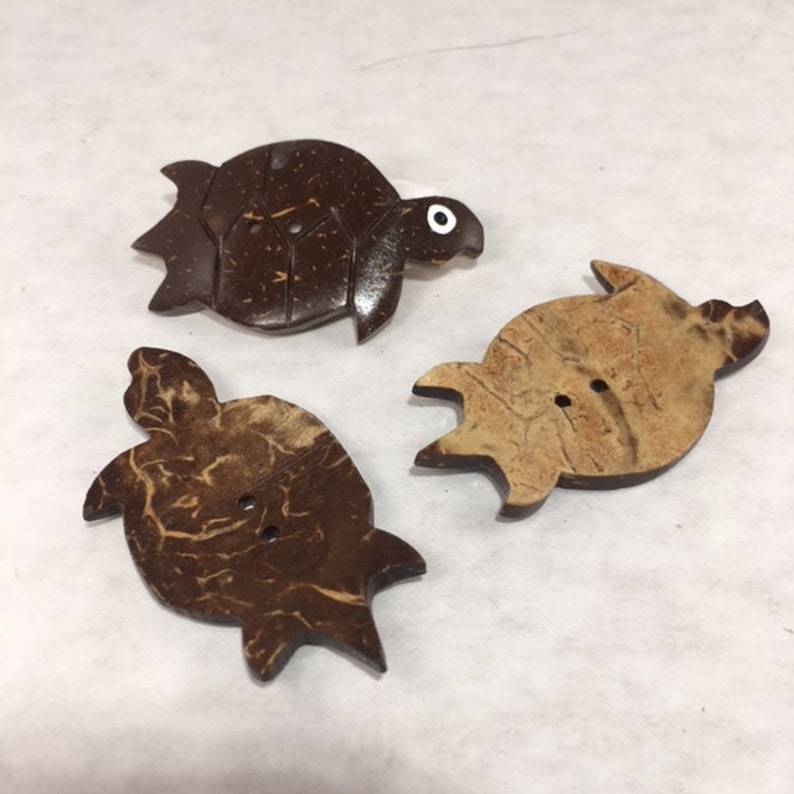TURTLE COCONUT SHELL buttons E4 | Etsy