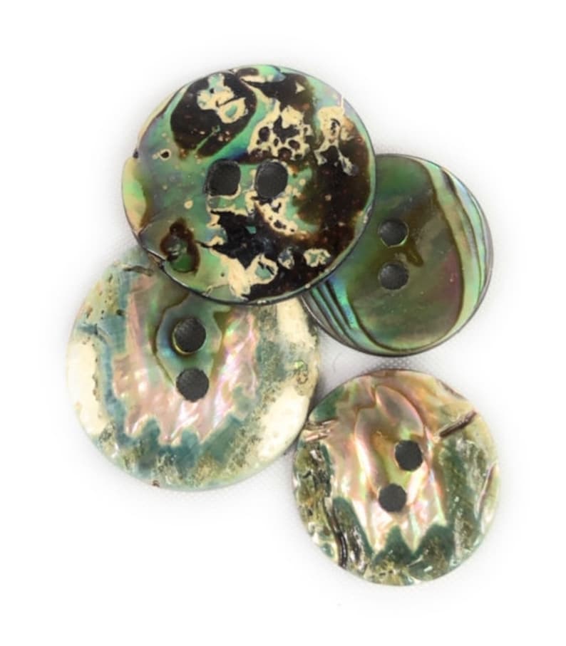 ABALONE SHELL BUTTONS. D11 - Etsy