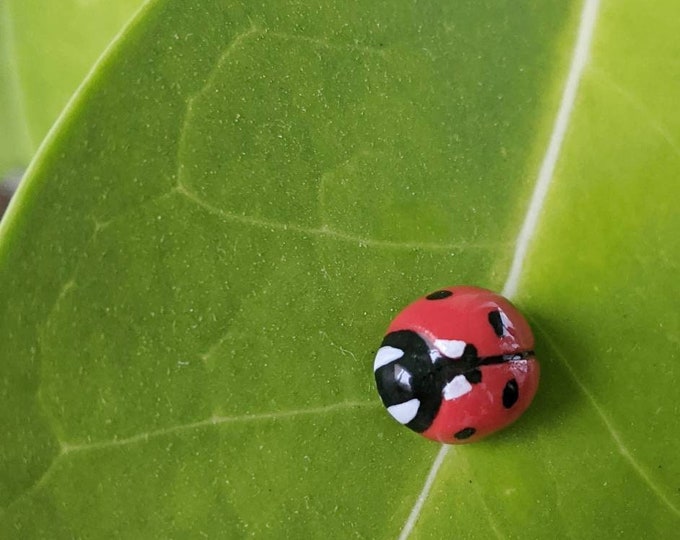 Realistic Ladybug Miniature Pin | Small Ladybird Push Pin | Tiny Red ...