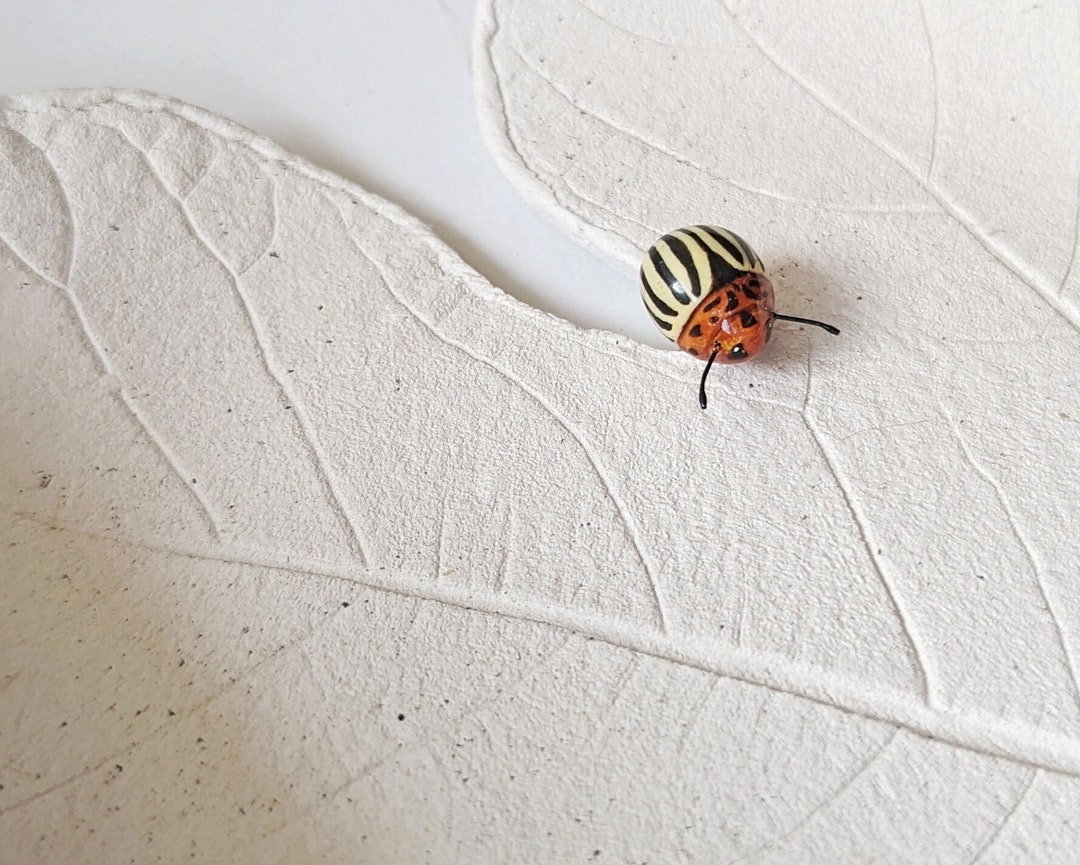 Colorado Potato Beetle Pin | Realistic Colorado Bug Push Pin | Small ...