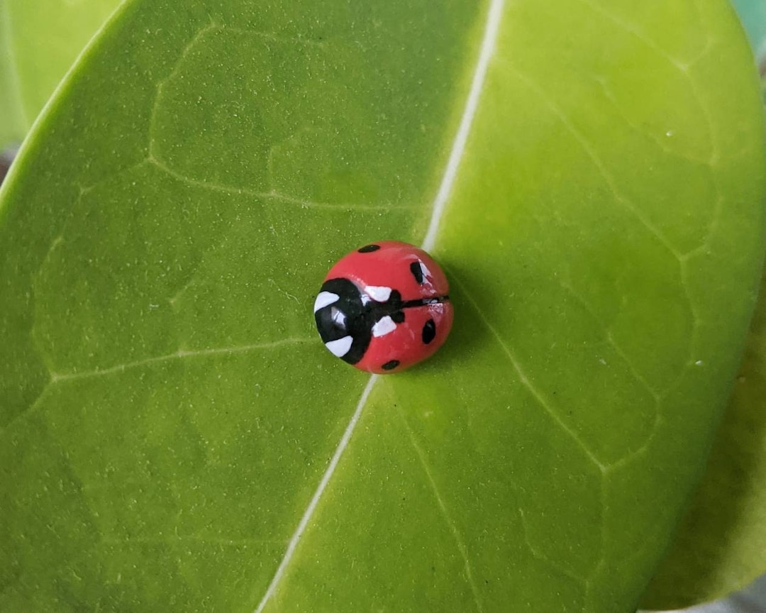 Realistic Ladybug Miniature Pin | Small Ladybird Push Pin | Tiny Red ...