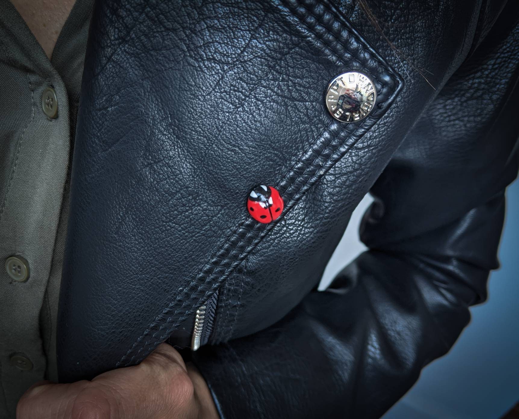 Realistic Ladybug Miniature Pin | Small Ladybird Push Pin | Tiny Red ...