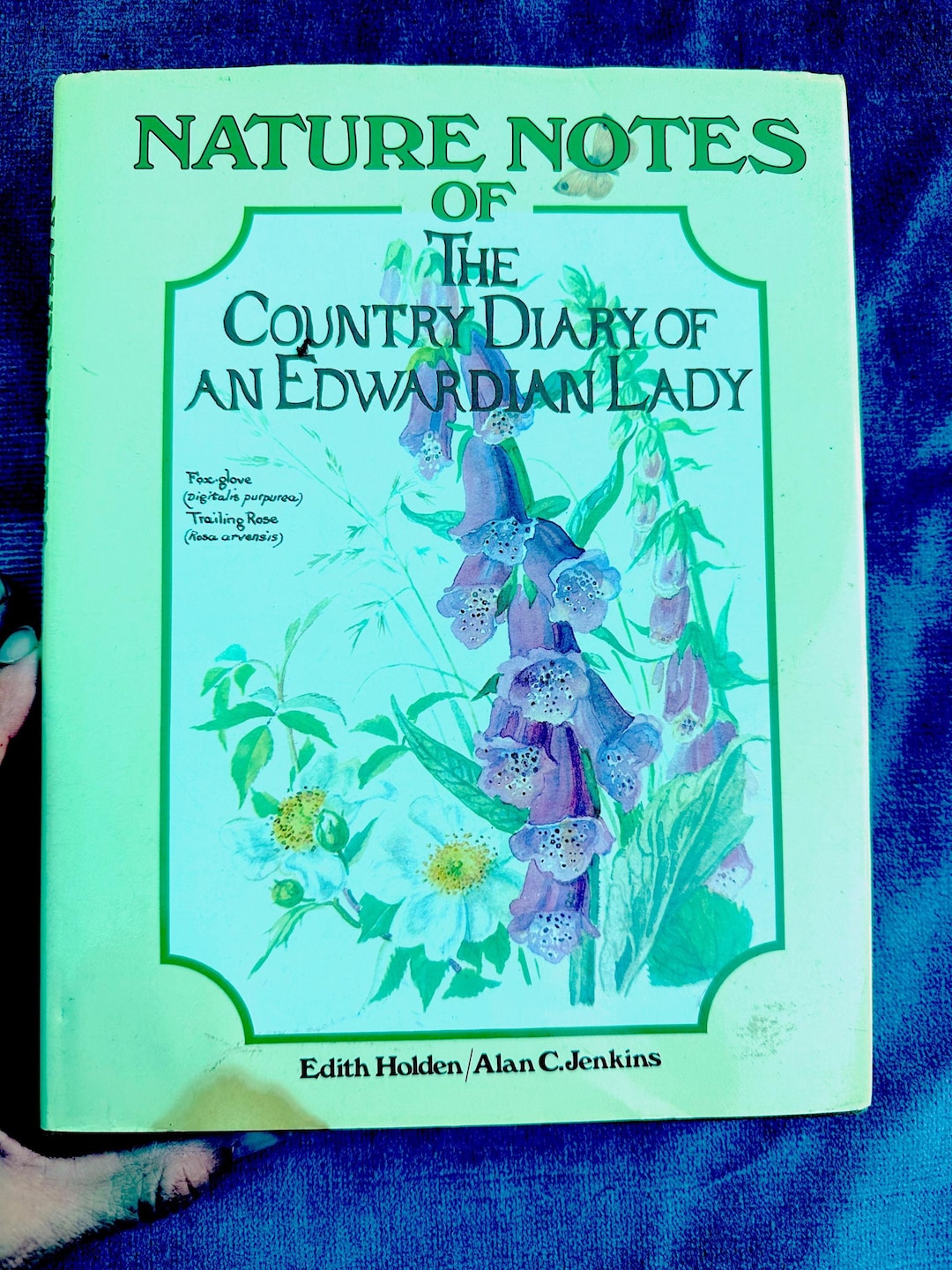 Nature Notes of the Country Diary of an Edwardian Lady / Unused ...