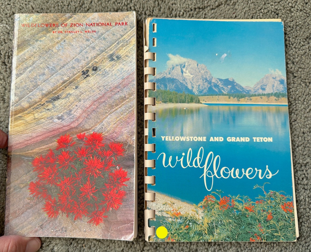 Two Vintage National Park Wildflower Guides: Yellowstone and Grand ...