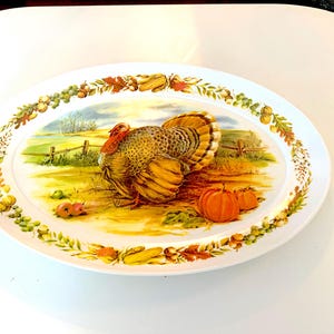 Classic Vintage Melamine Turkey Platter / 21 Wide / Vintage Plastic ...