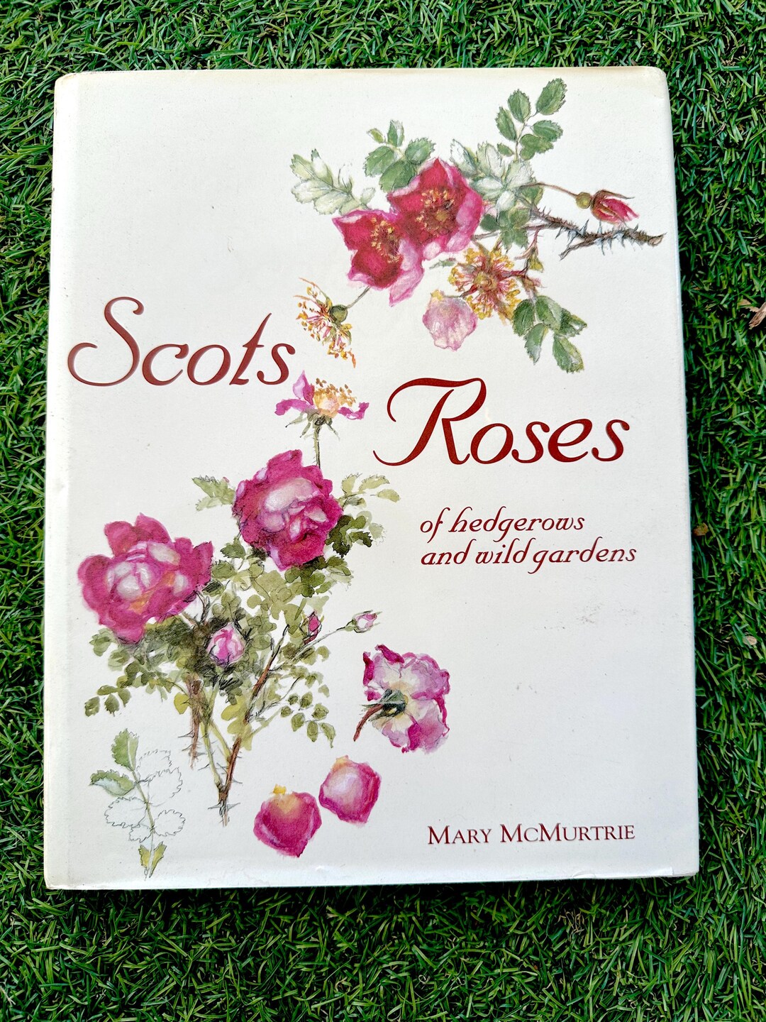 Vintage Guide to Scots Roses: "scots Roses of Hedgerows and Wild ...
