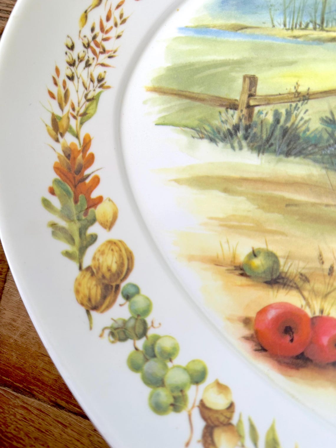 Classic Vintage Melamine Turkey Platter / 21" Wide / Vintage Plastic ...